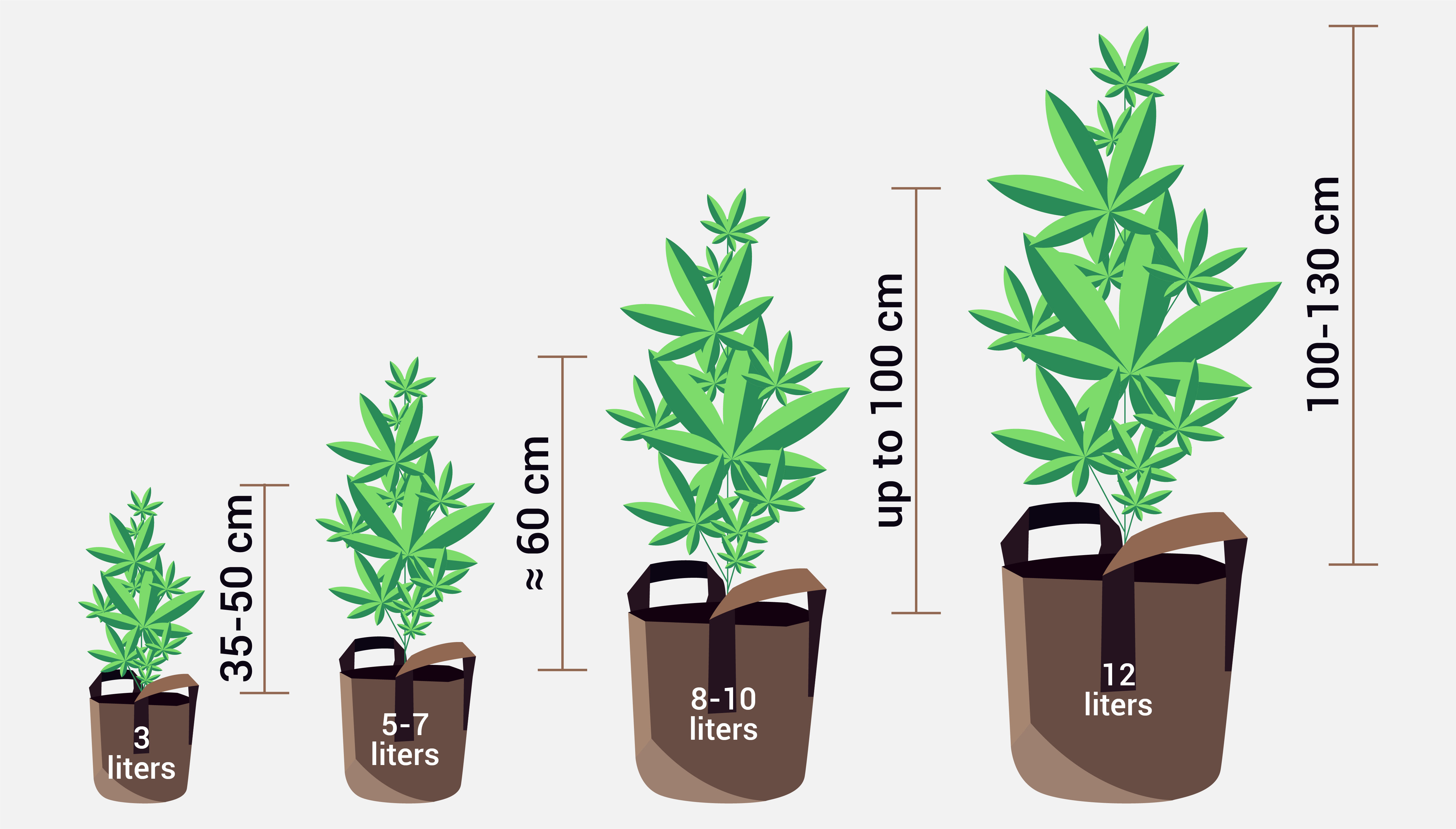 Best Pot Size For Cannabis Grow GrowDiaries