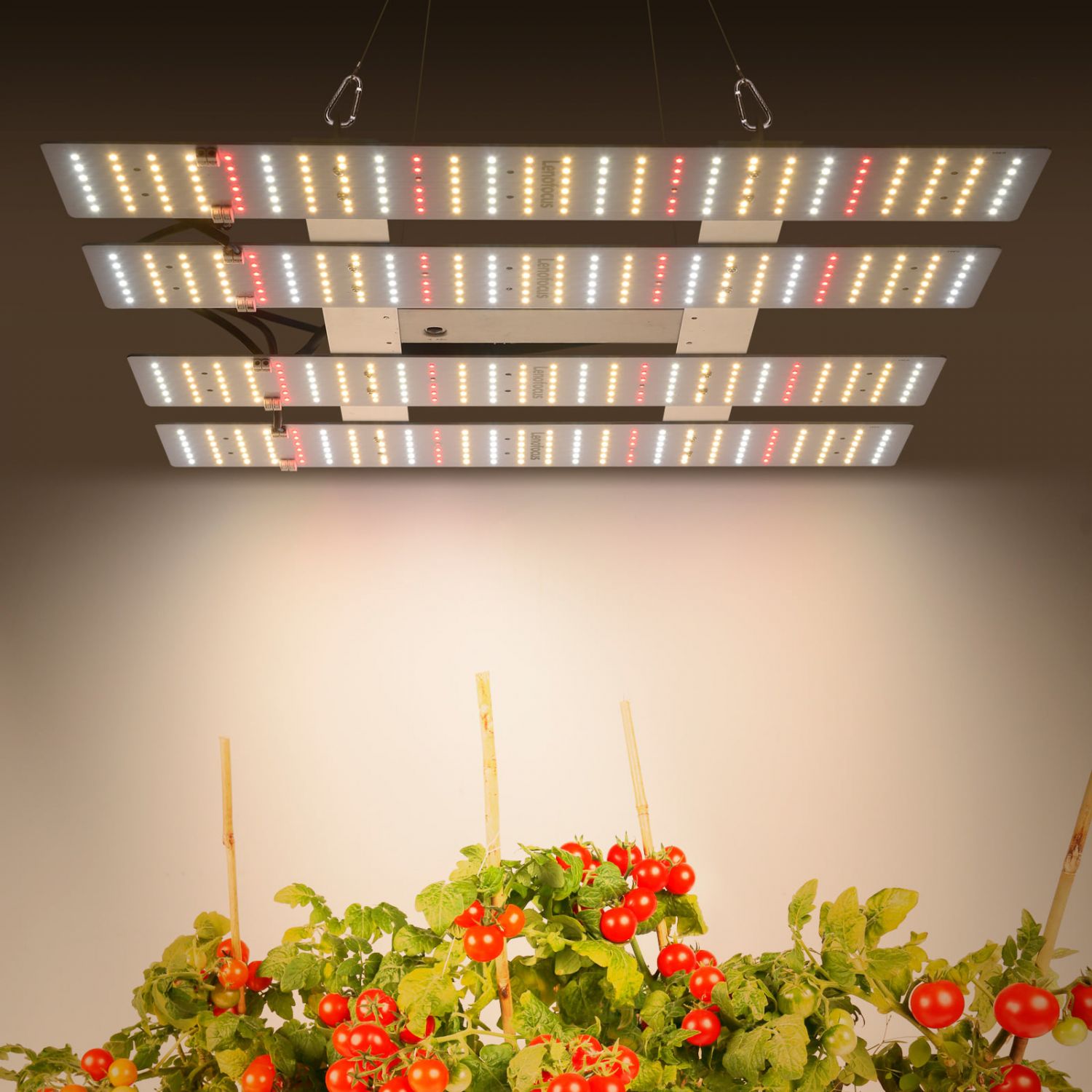 Lenofocus lamps manufacturer. Cannabis lighting brand information ...