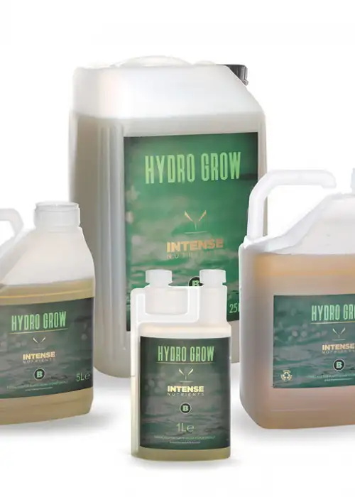 Hydro Grow B Seeds by Intense Nutrients - GrowDiaries