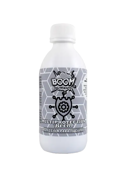 Multiprotection Boom Seeds by Boom Nutrients - GrowDiaries