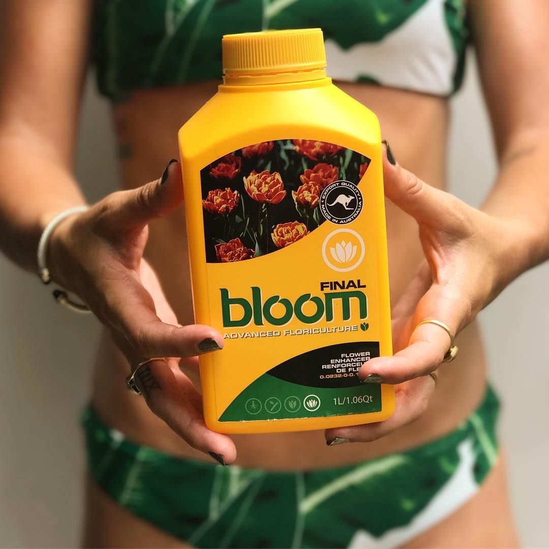 Bloom Yellow Bottles nutrient producer info - GrowDiaries