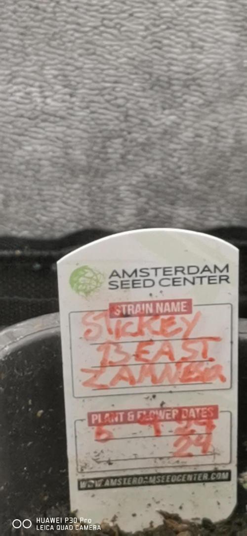 grow journal by Nicogreen - GrowDiaries