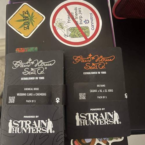 Big Bang, Chemical Bride grow journal by MrPad420 - GrowDiaries