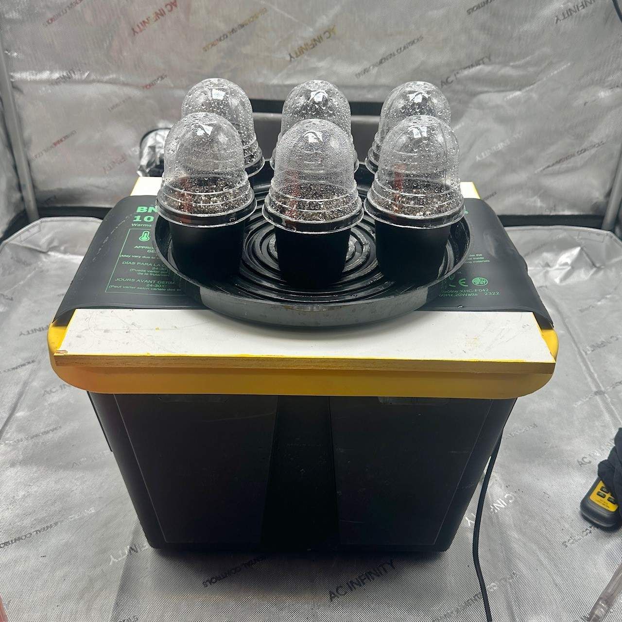 Space Juice / Solfire Gardens: photos - GrowDiaries