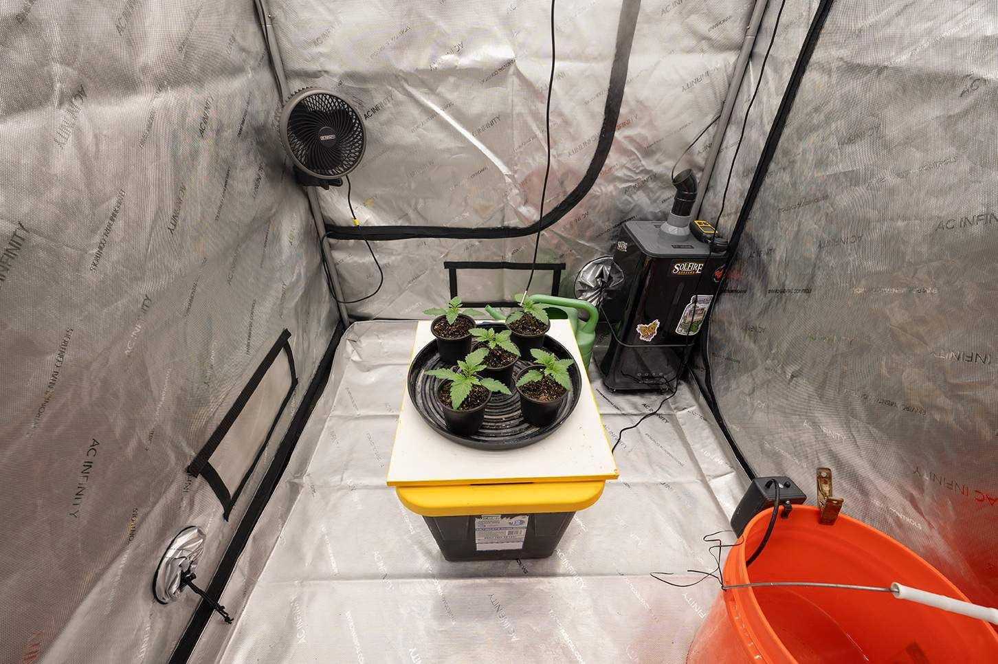 Space Juice / Solfire Gardens: photos - GrowDiaries