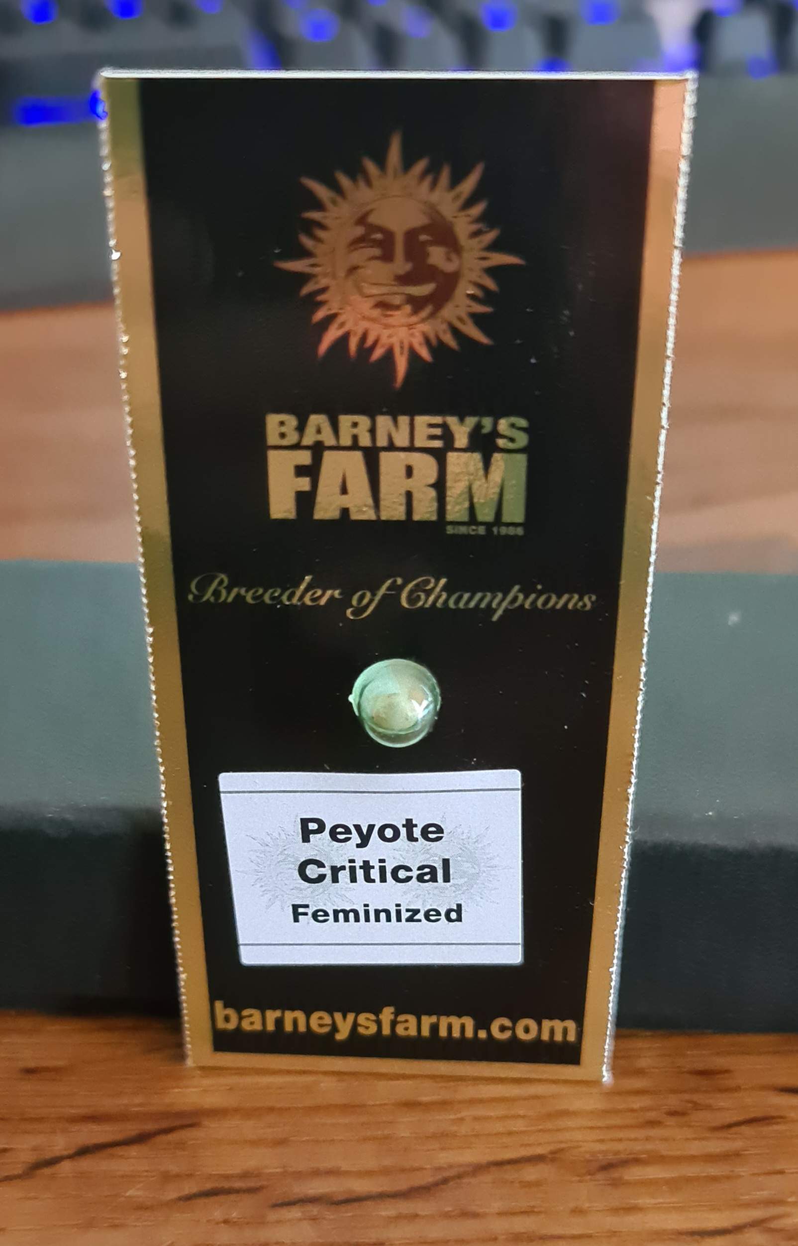 Barney's Farm Peyote Critical 2 grow diary (journal) week1 by MrWolf ...