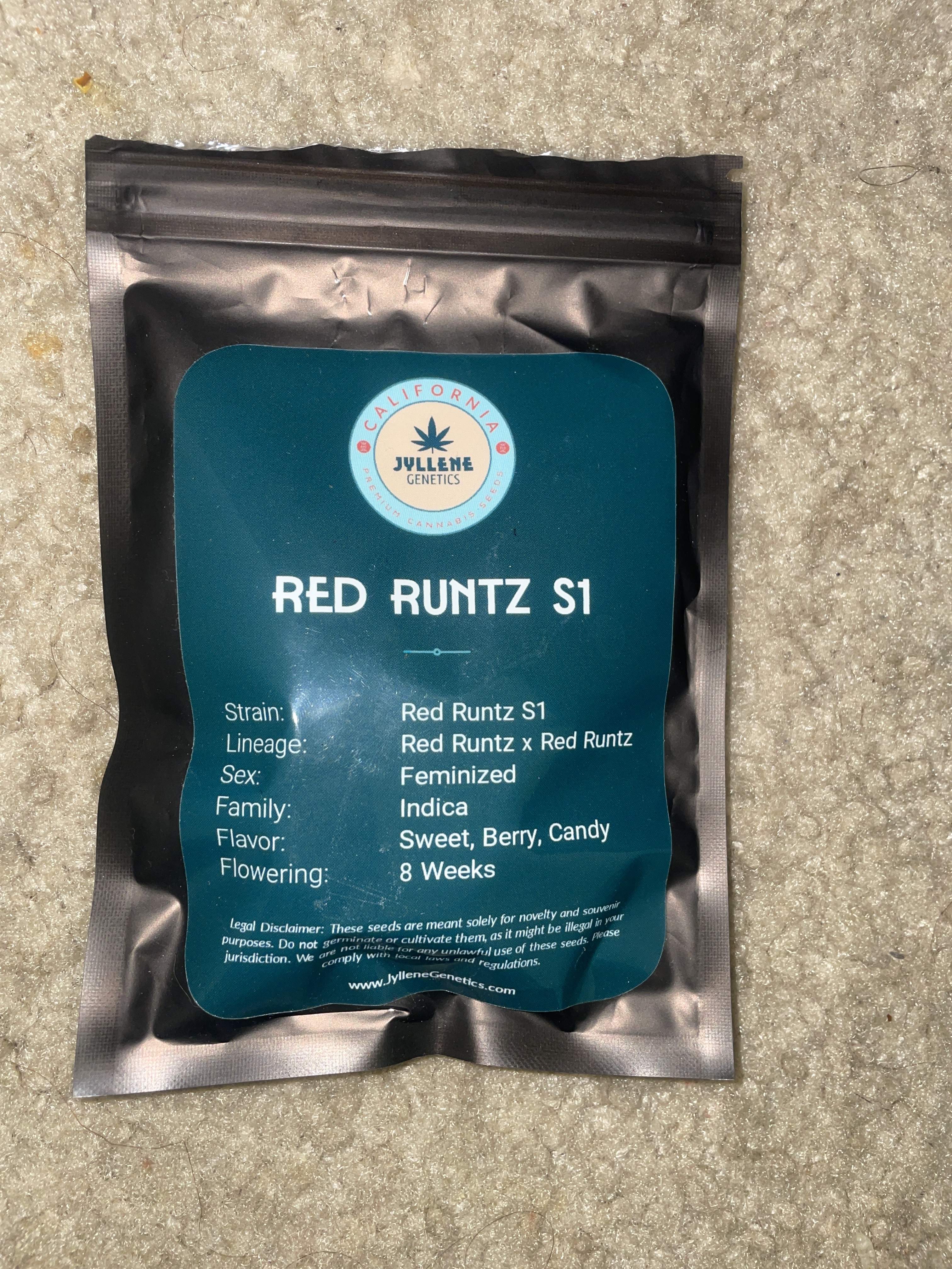 [red runtz] jyllene genetics grow diary (journal) week0 by OliviaLivi ...