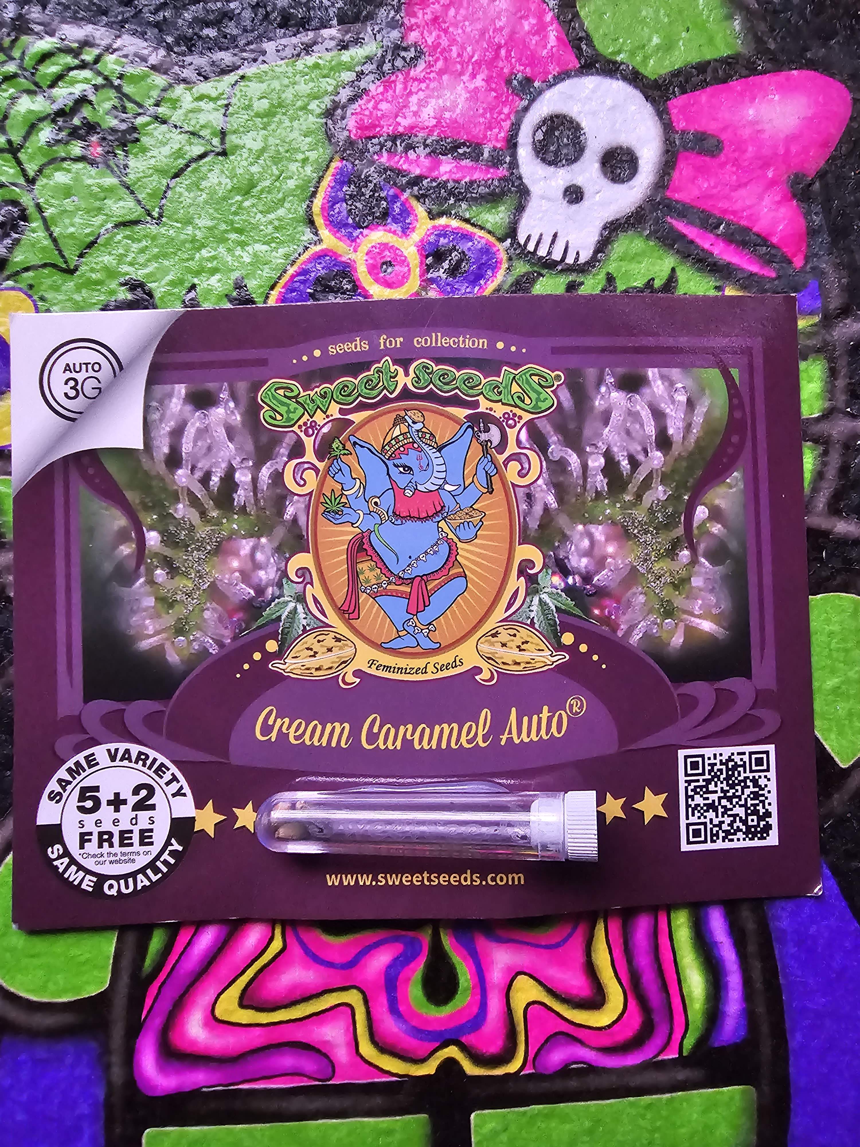 Sweet Seeds Cream Caramel Auto grow diary (journal) week0 by RozeBudz ...