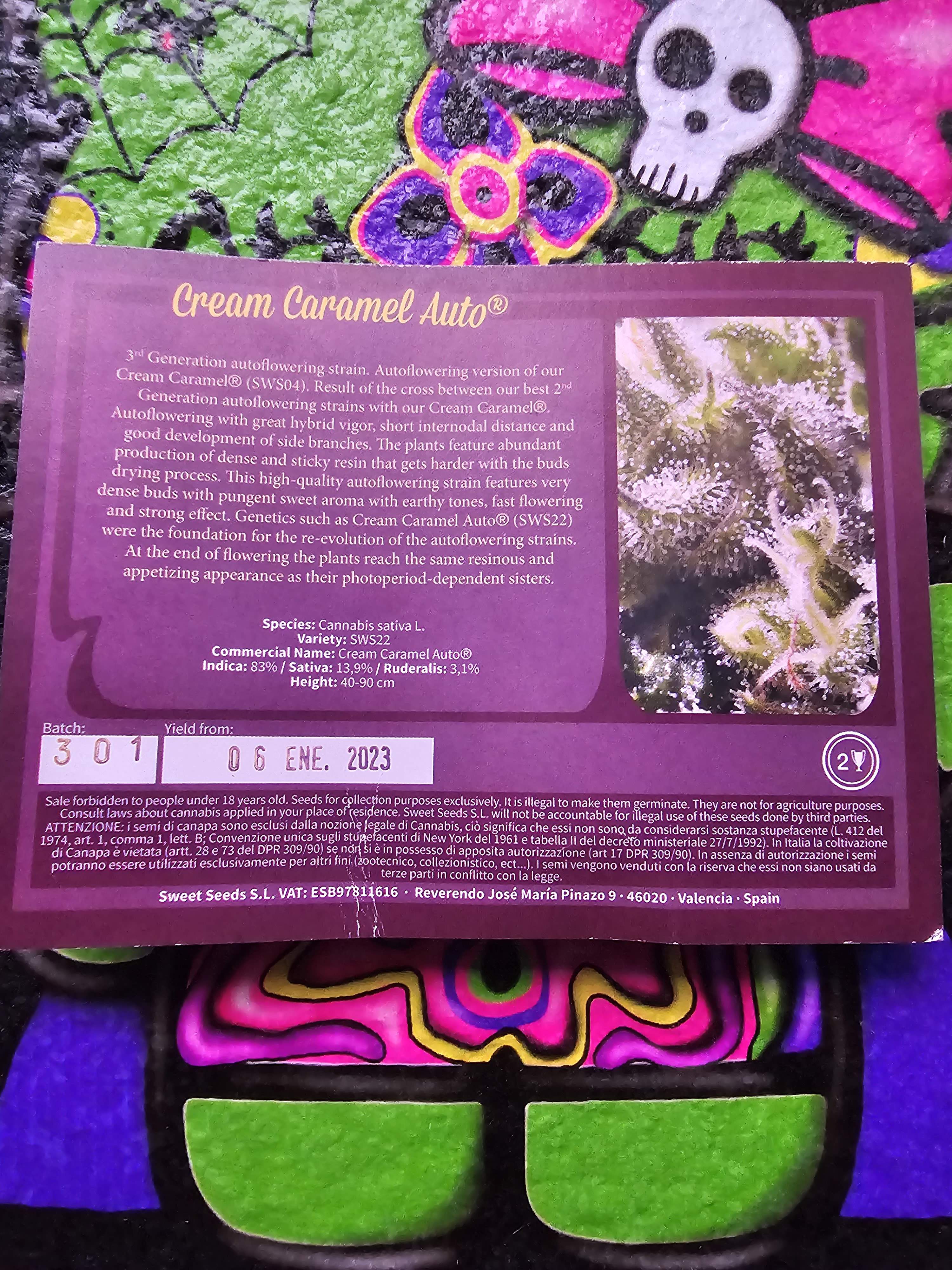 Sweet Seeds Cream Caramel Auto grow diary (journal) week0 by RozeBudz ...