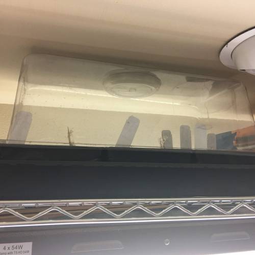 TGA Genetics Subcool Seeds The Third Dimension grow journal by ...