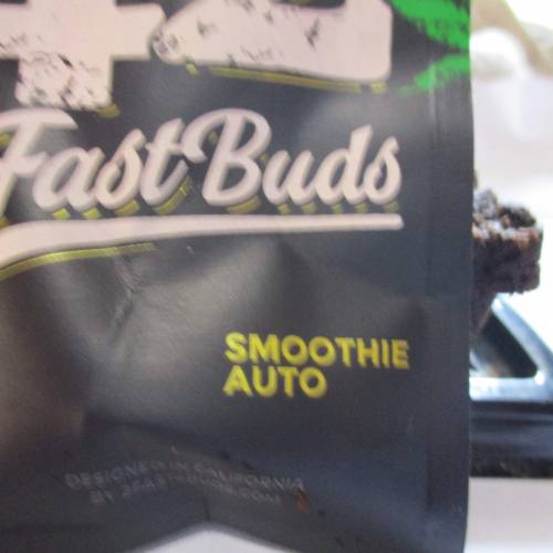 FB Smoothie Greenhouse Organic Grow grow journal by DILLIGAF - GrowDiaries