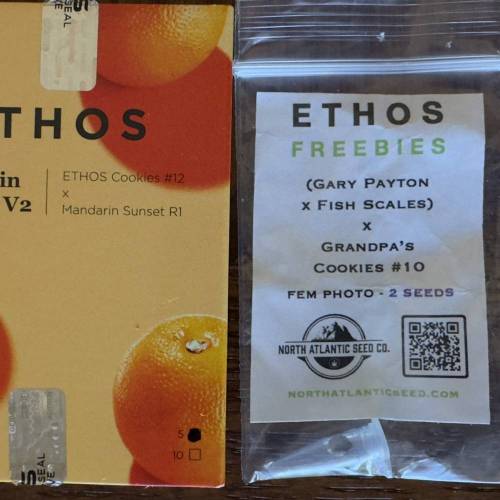 Mandarin Cookies V2, Ethos: Gary payton x fish scales x grandpas ...