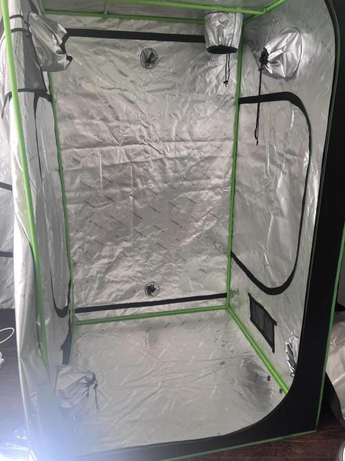 Green Crack Auto, Mimosa Lemon Auto grow journal by SouthernMishap ...