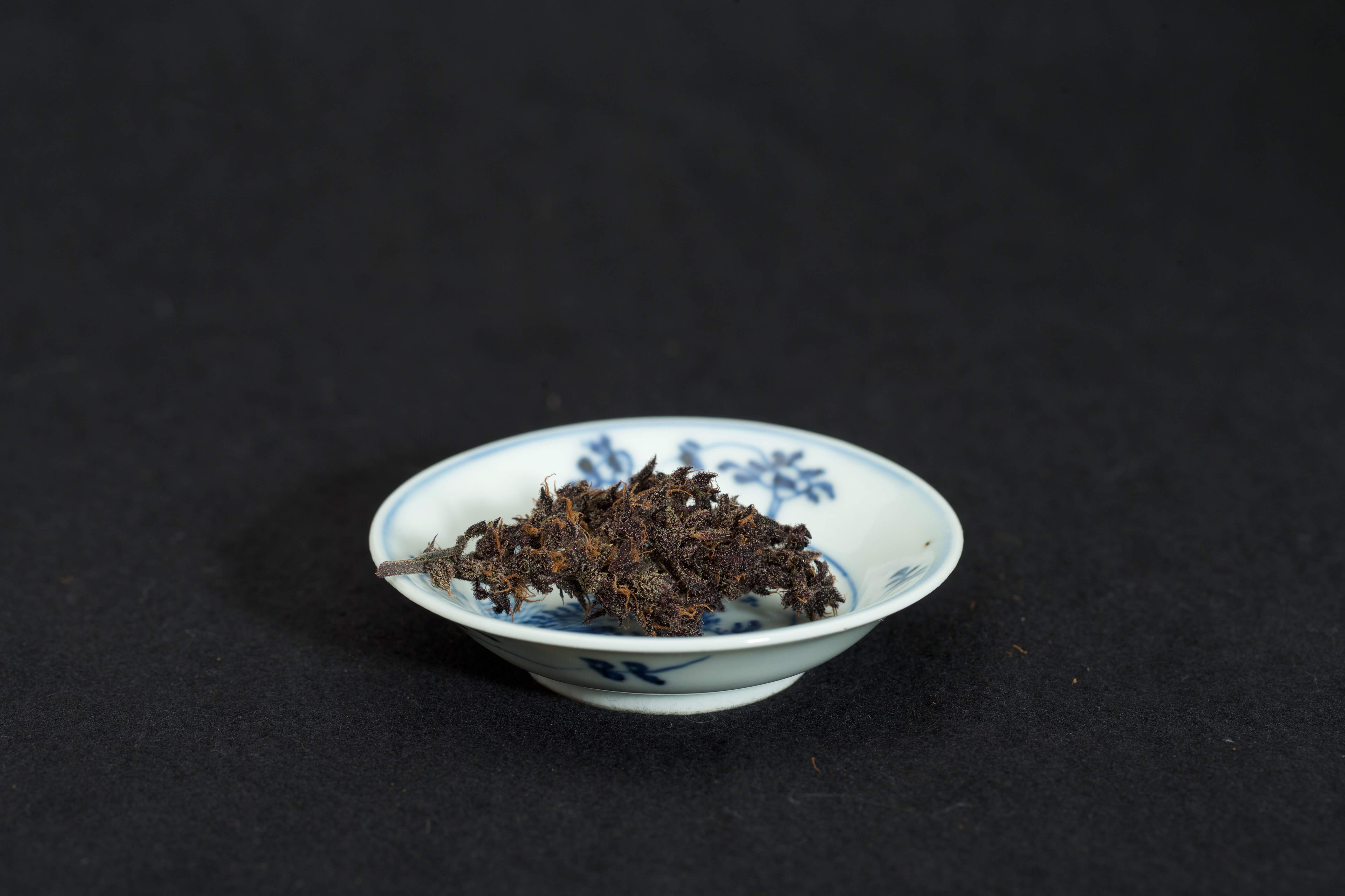 Sweet Seeds Bloody Skunk Auto grow diary (journal) harvest10 by ...