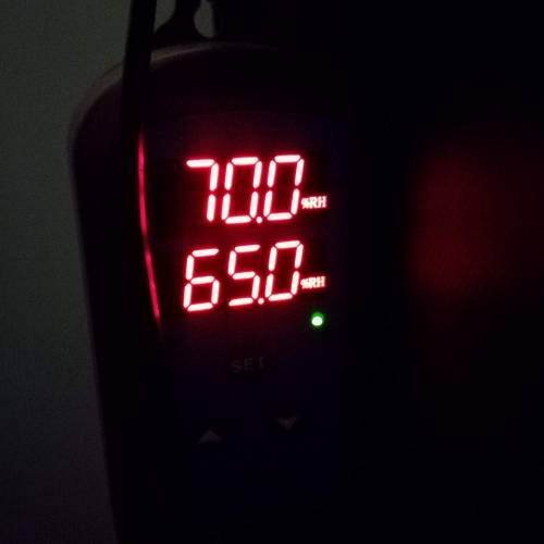 Sweet Seeds Big Devil XL Auto® grow journal by SkinnyJoe - GrowDiaries