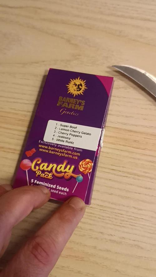 Cherry Poppers Cannabis Strain Information - GrowDiaries