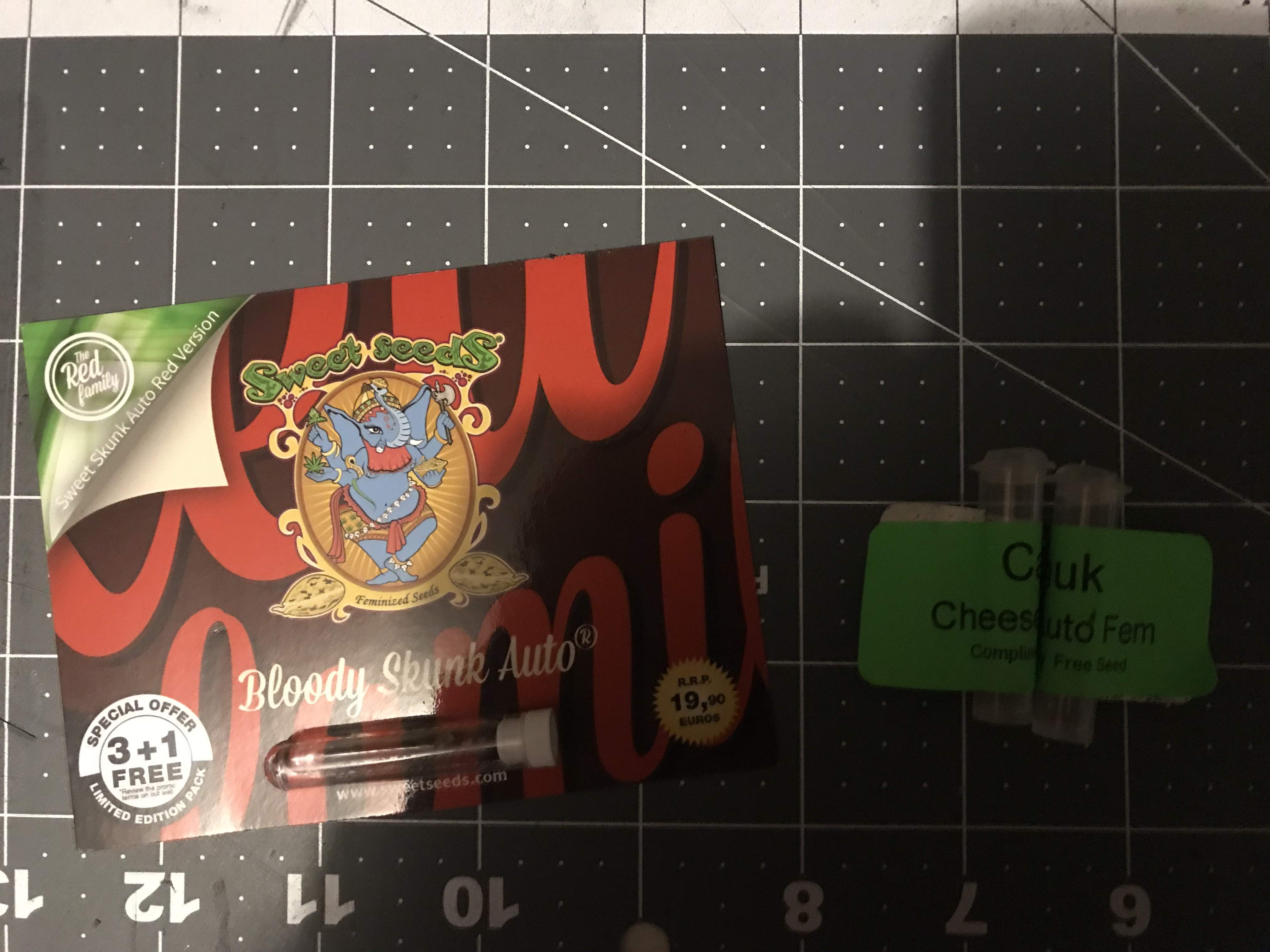 Canuk Seeds Cheese Autoflowering, Sweet Seeds Bloody Skunk Auto® grow ...