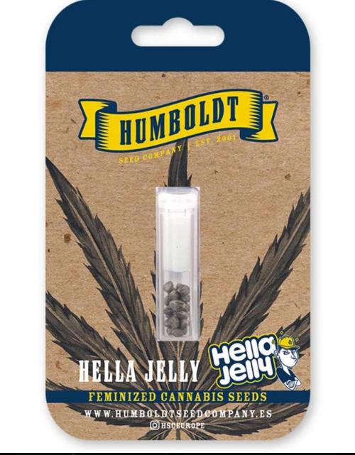 Up to di Sky - Hella Jelly - grow journal by NaturalWeed - GrowDiaries