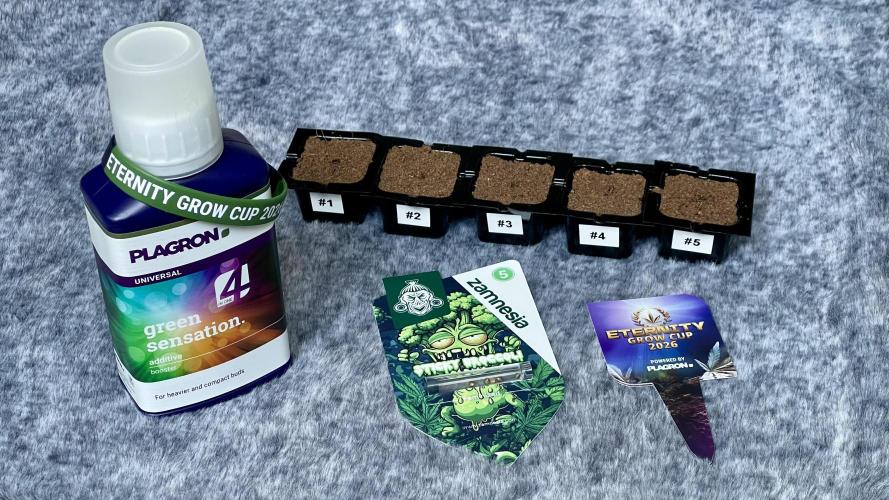 Eternity Grow Cup 2026 - Sticky Broccoli grow journal by stickylicious ...