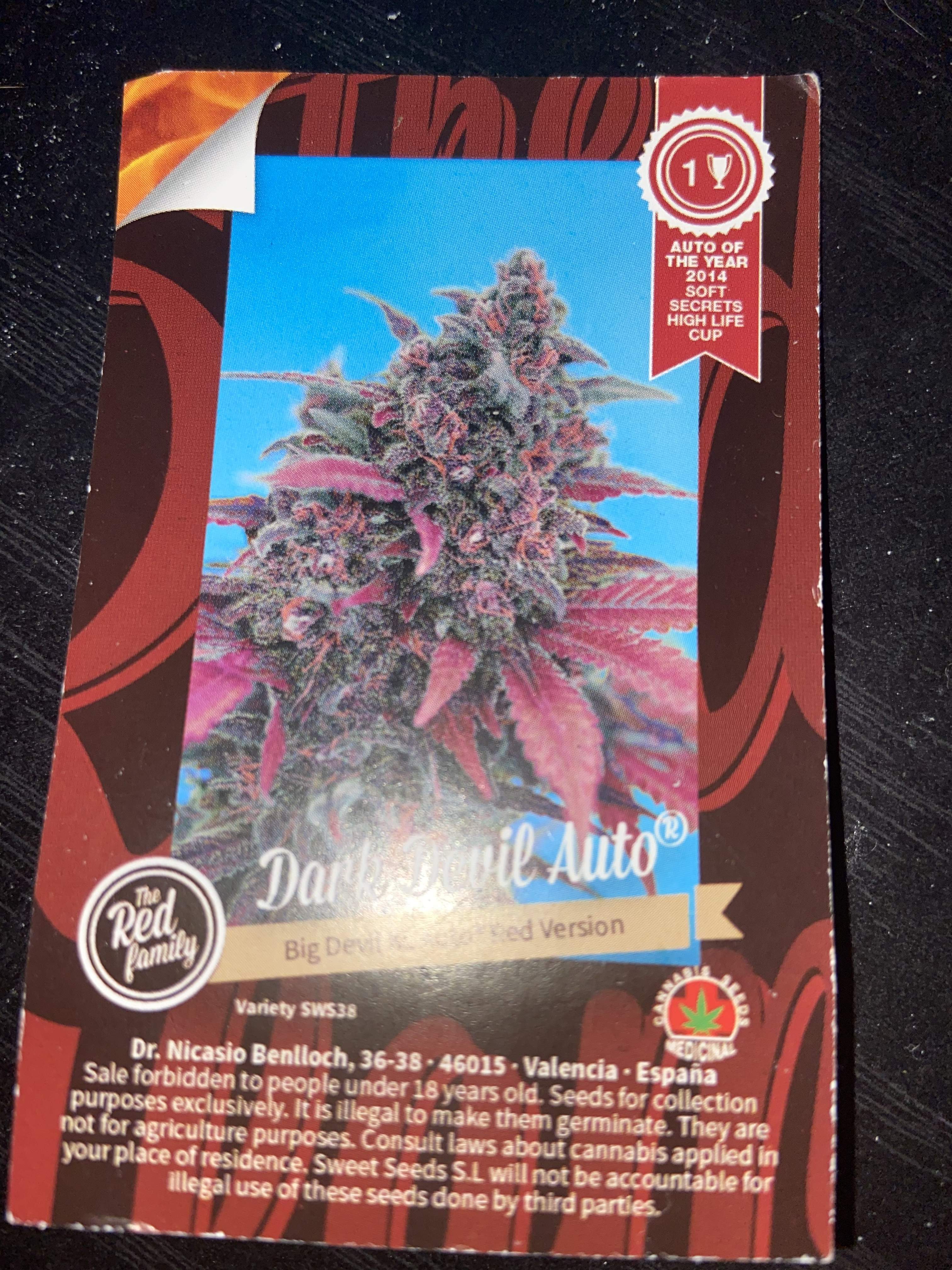 Sweet Seeds Dark Devil Auto® grow journal week1 by ShireFarms - GrowDiaries