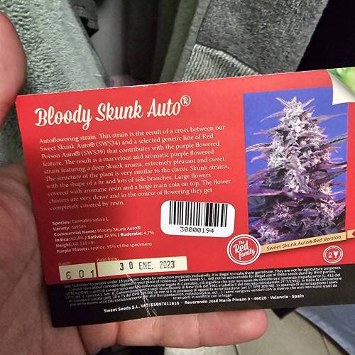 Bloody Skunk Auto® grow journal by Bulbasaur - GrowDiaries