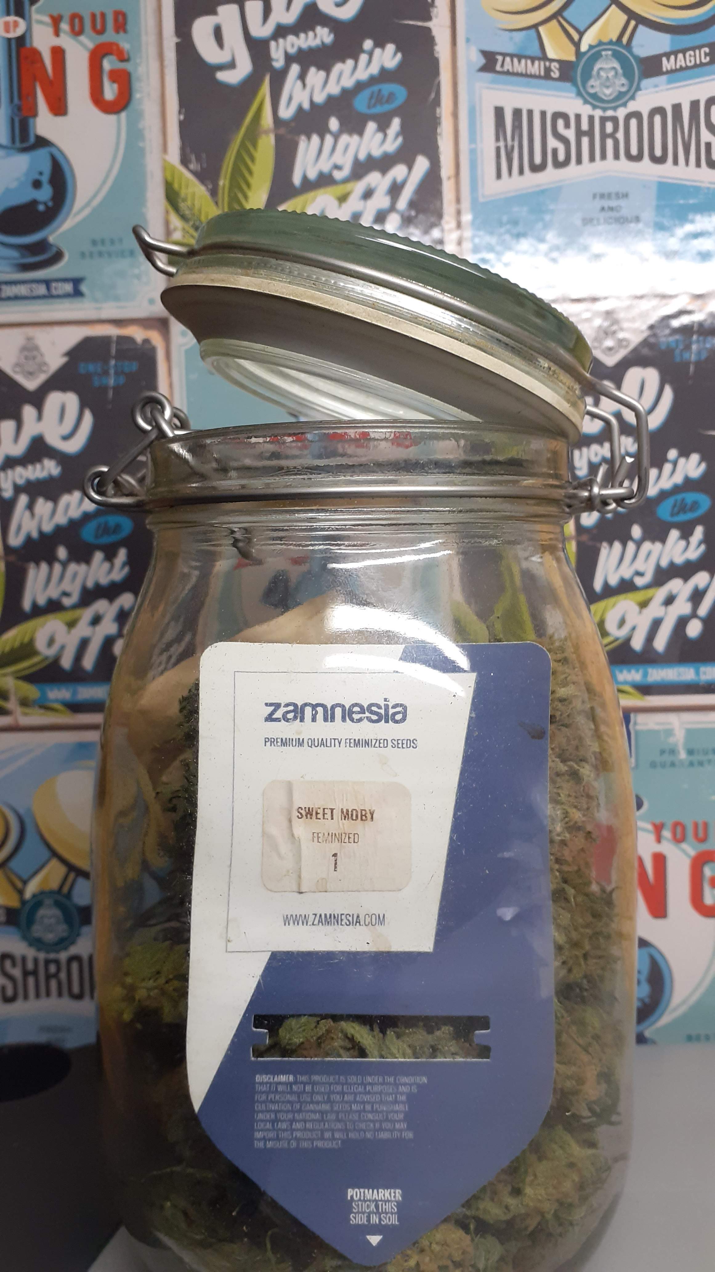 Zamnesia Seeds Blue Dream, Zamnesia Seeds Blue Dream, Zamnesia Seeds ...
