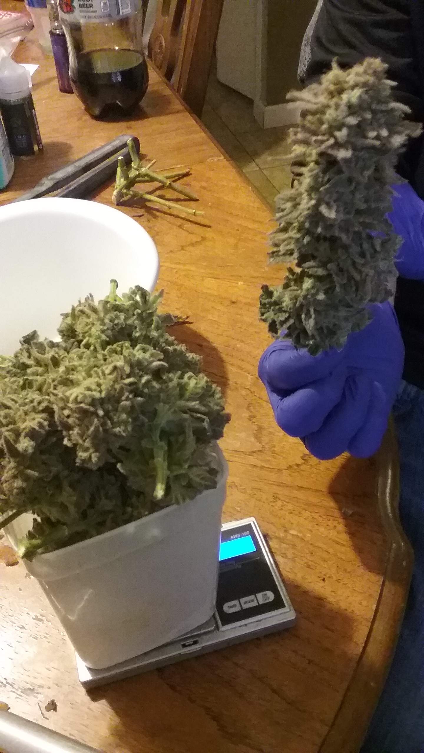 Crop King Seeds Cali OG Kush grow journal harvest17 by - GrowDiaries Crop King Seeds Cali OG Kush grow journal harvest17 by - GrowDiaries