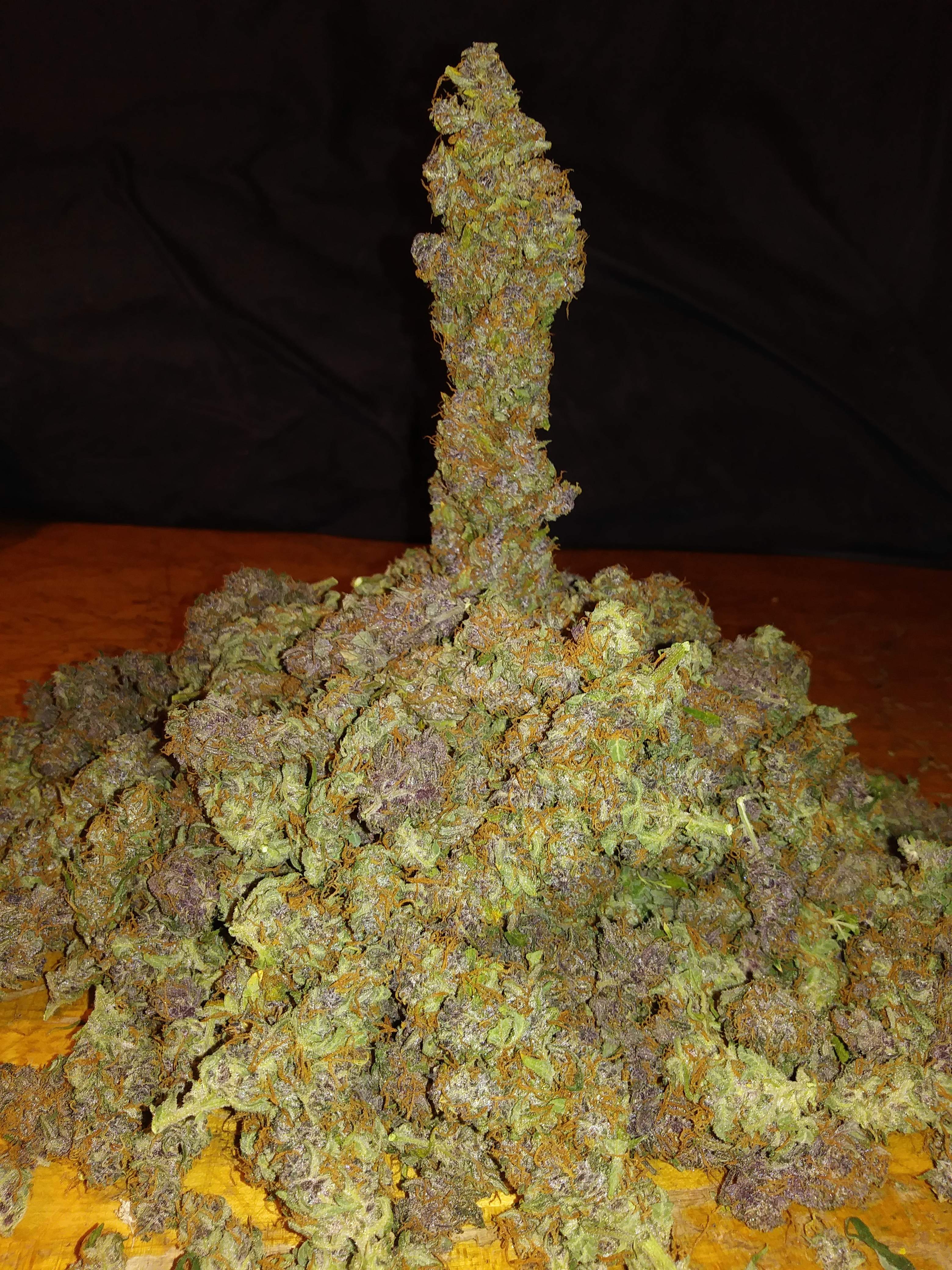 Fast Buds Crystal METH 2 grow diary (journal) harvest10 by Radical ...