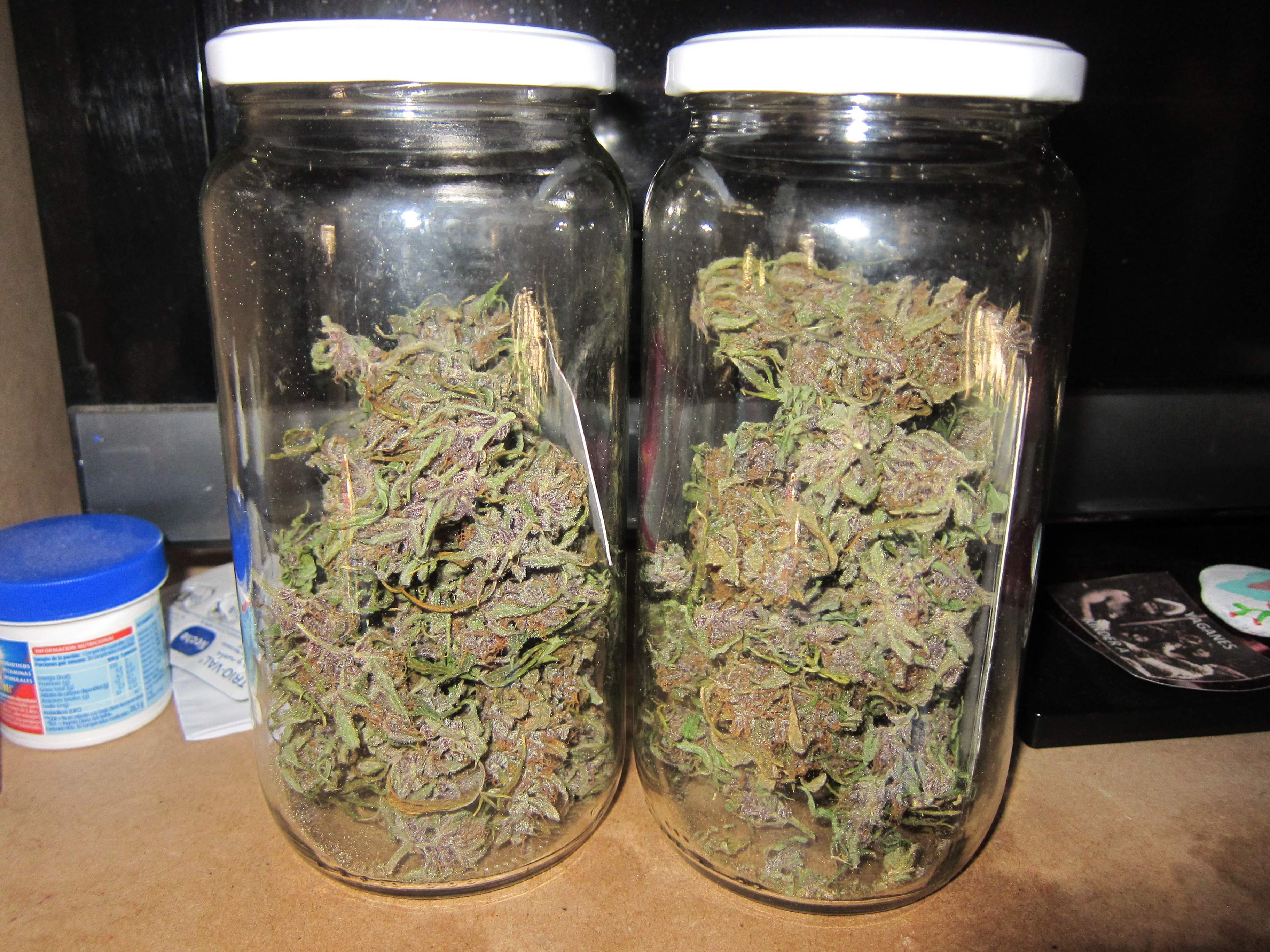 Fast Buds Crystal METH grow diary (journal) harvest9 by Removed ...