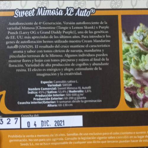 Sweet Seeds Sweet Mimosa XL Auto grow journal by VaruSmokings13 ...