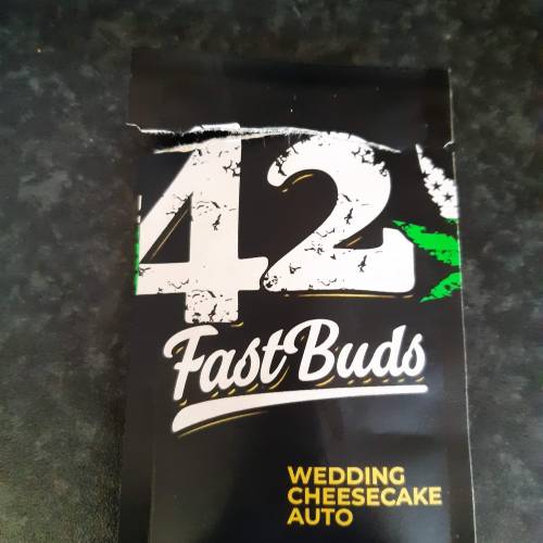 Fruit Cake Autoflower, Wedding Cheesecake Auto grow journal by Princess ...