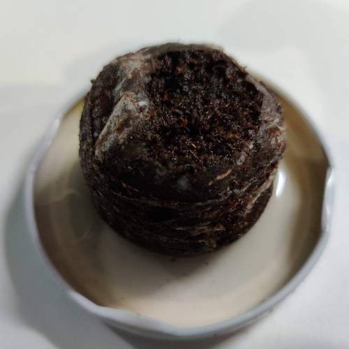 Auto red poison 2 WITH GODS HELP! grow journal by toyahgerool - GrowDiaries