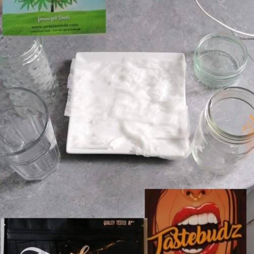 Top shelf elite - blueberry sugar pine, Amnesia seeds - strawberry tree ...