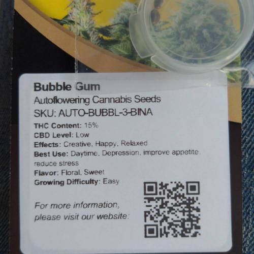 Critical Purple Autoflowering , Growers Choice Seeds - Bubble Gum A ...