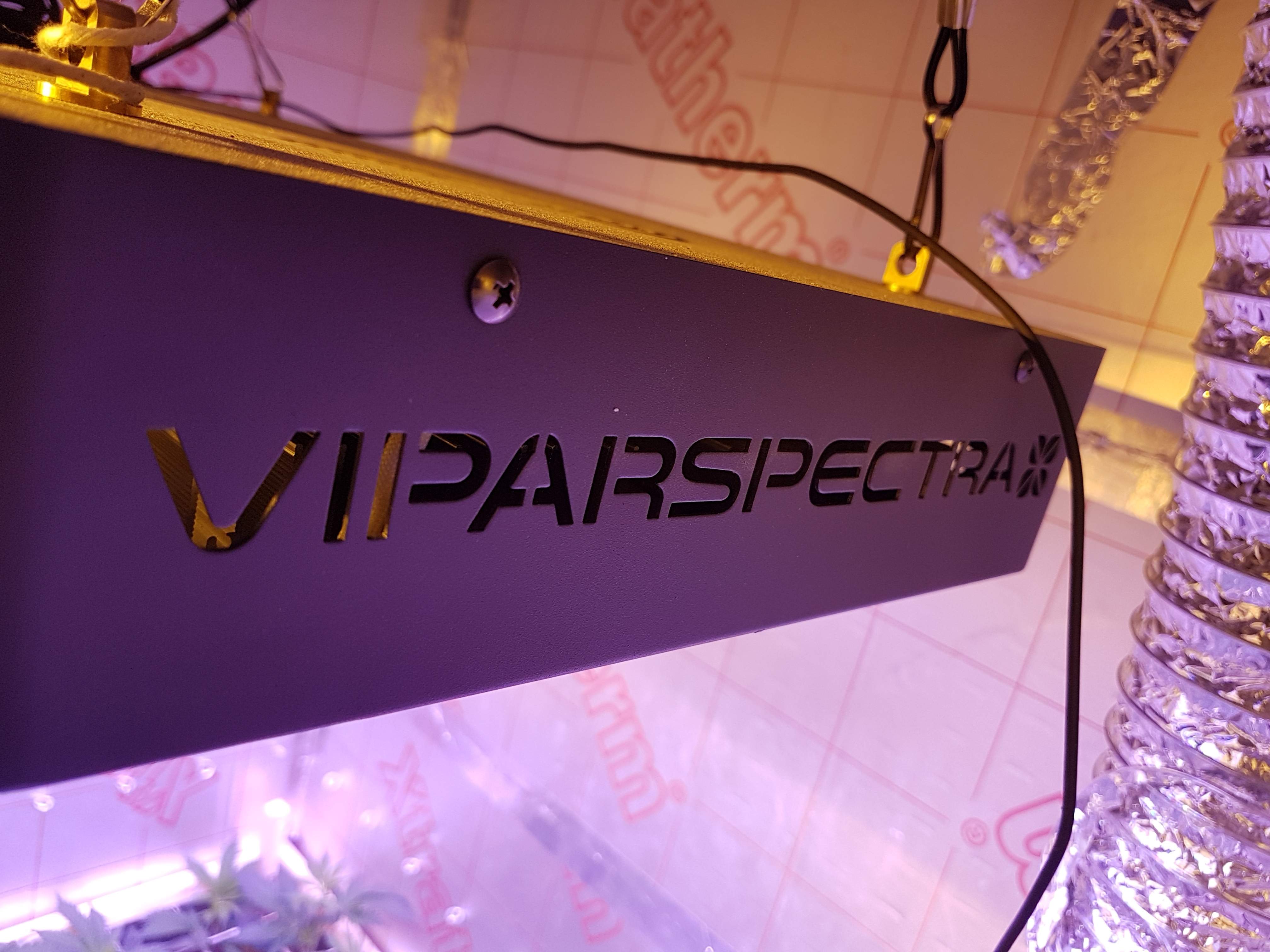 The Cali Connection Alien OG grow diary (journal) week1 by Twangle ...