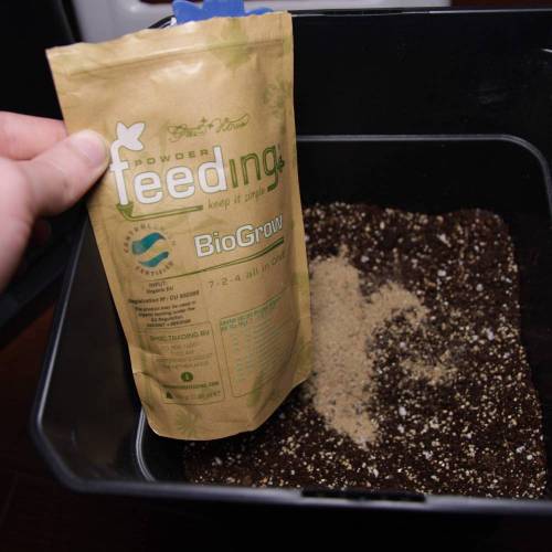 LEMON PIE 2nd RUN grow journal by EXZELENS - GrowDiaries