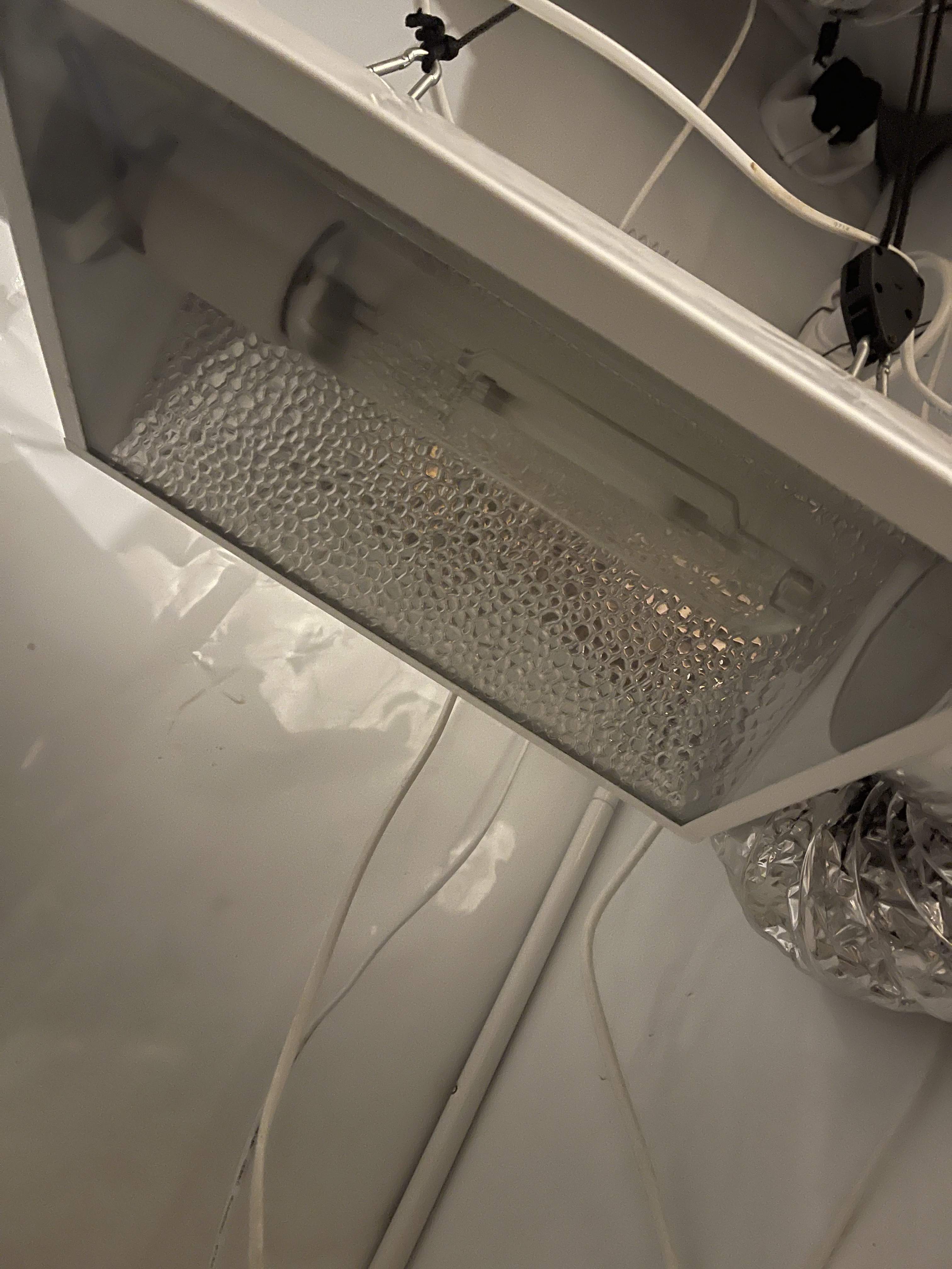 Fast Buds Lemon Pie Auto, Barney's Farm Watermelon Zkittlez Auto grow ...