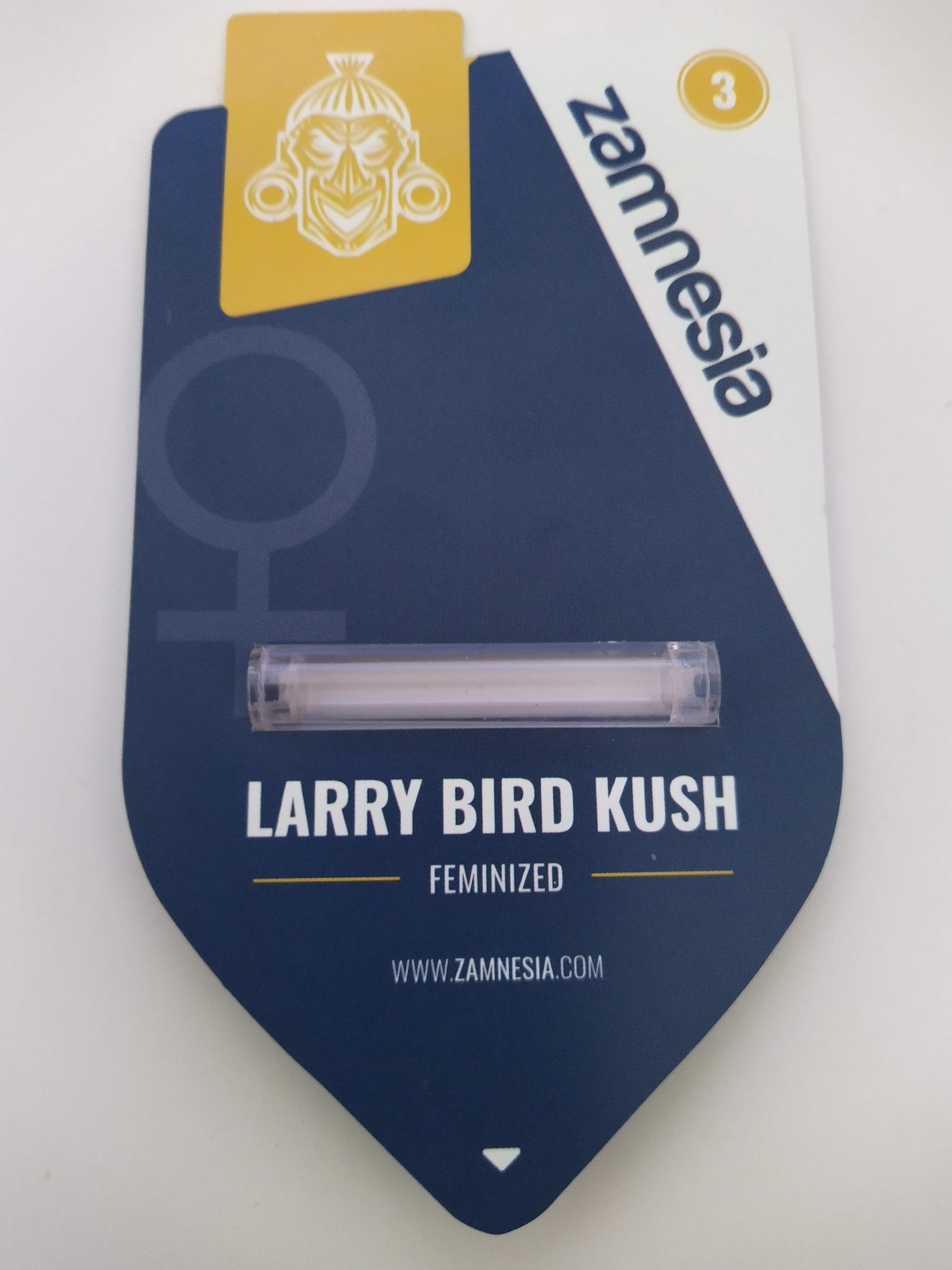 Zamnesia Seeds Larry Bird Kush grow diary (journal) week0 by 1avama ...