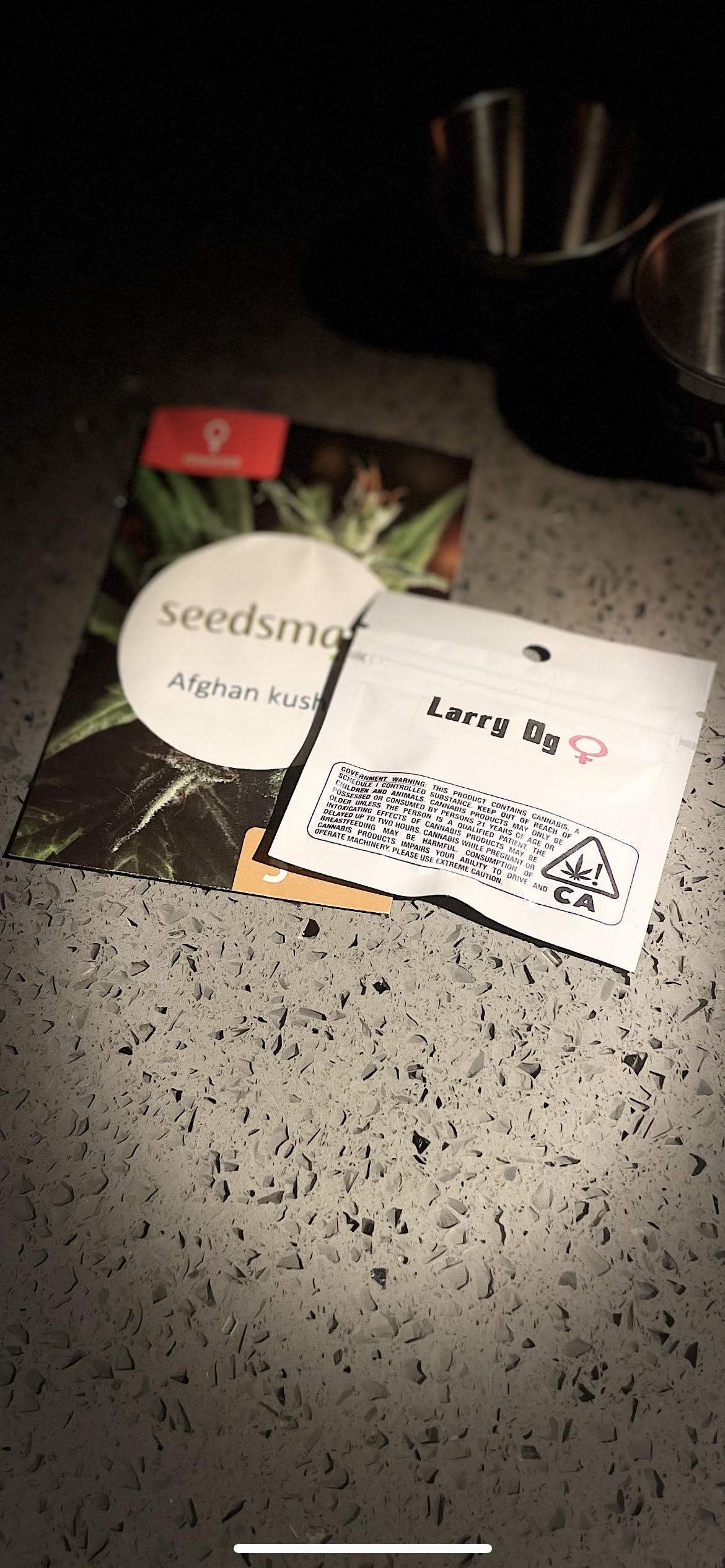 Seedsman Afghan Kush, The Cali Connection Larry OG Kush grow diary ...