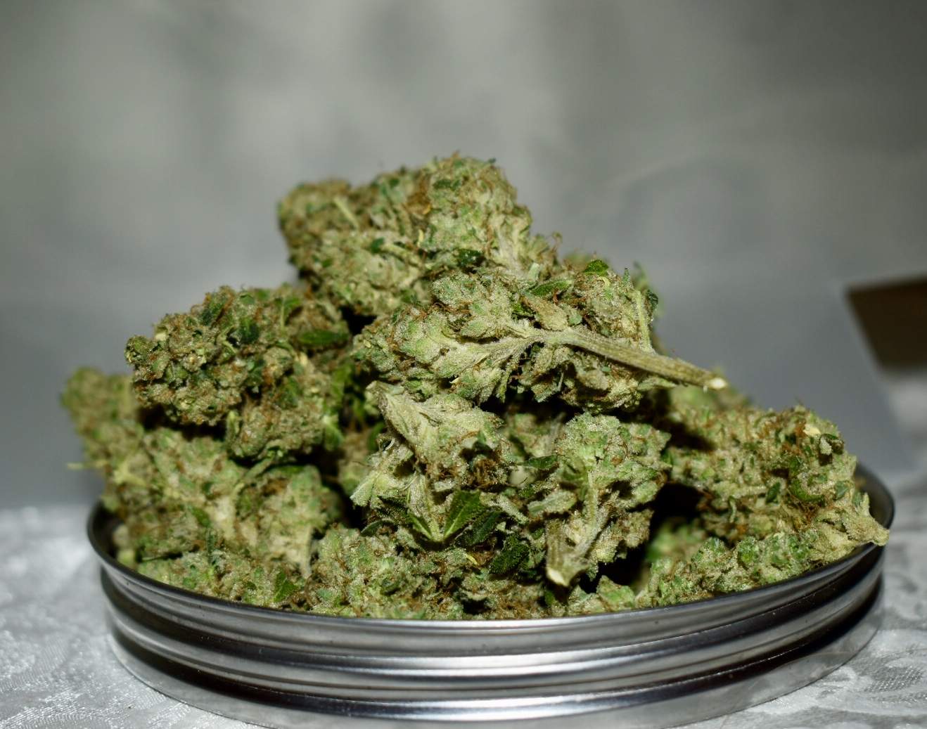 Zamnesia Seeds Larry Bird Kush grow diary (journal) harvest19 by Silky ...