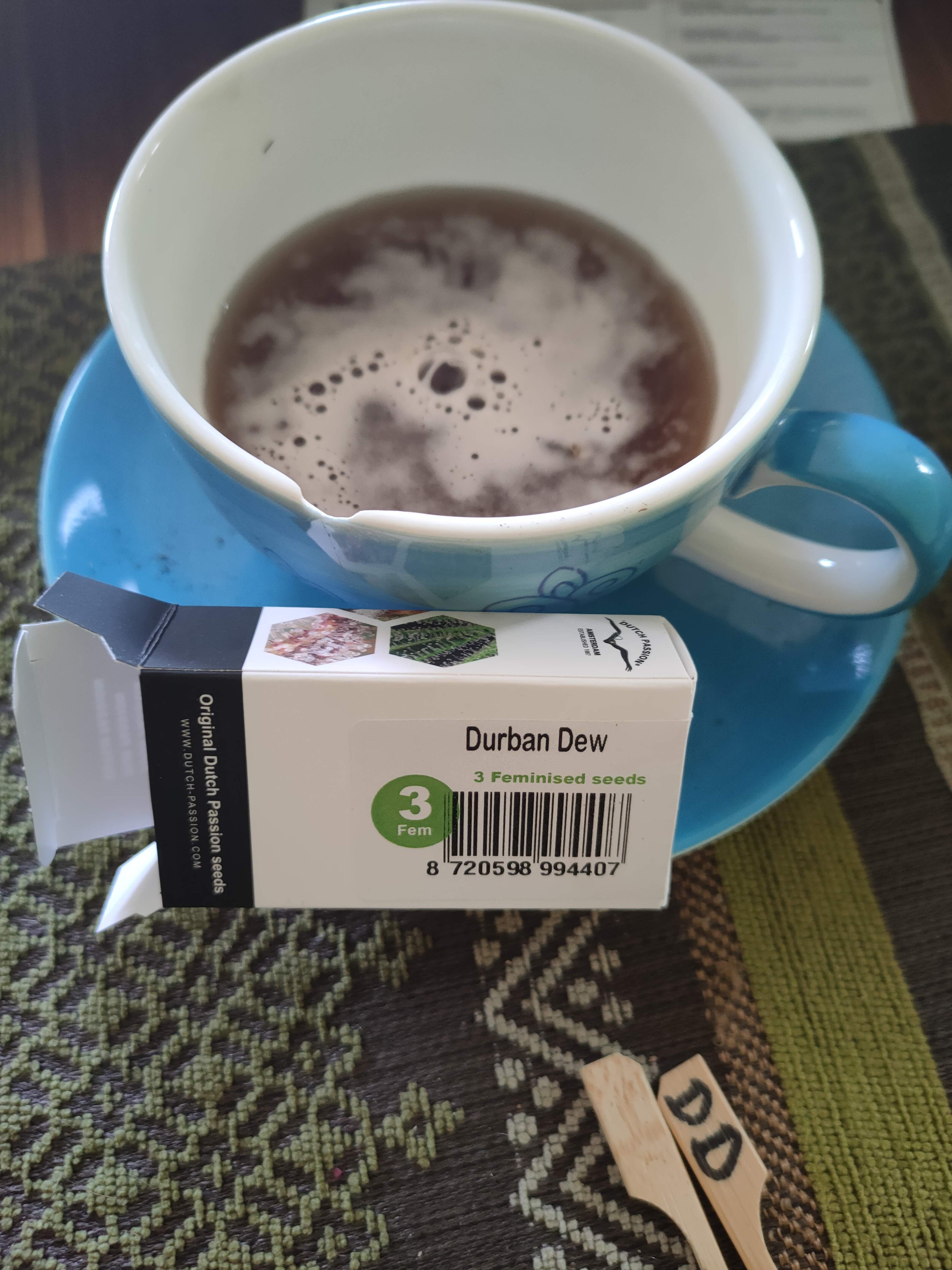 Durban Dew / Dutch Passion: photos - GrowDiaries
