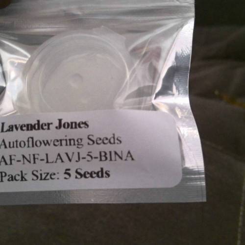 Custom Breeder & Strain Lavender Jones Autoflowering grow journal by ...