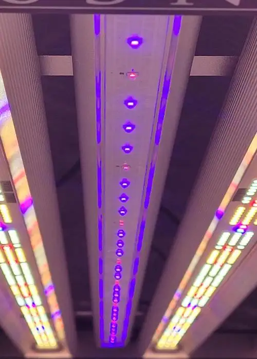 Slim 60 UV LED Grow Light by Optic LED grow lamp. Lighting information ...