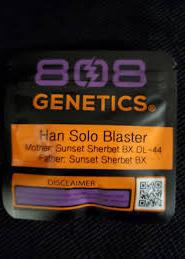 Han Solo Blaster Strain Info / Han Solo Blaster Weed By 808 Genetics ...