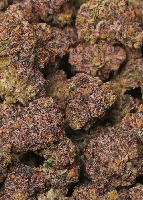 Cherry Biscotti Cannabis Strain Information - GrowDiaries