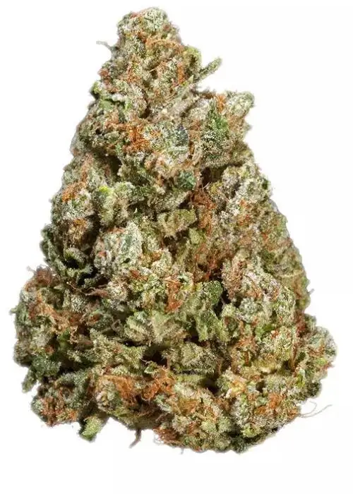 Superman OG Cannabis Strain Information - GrowDiaries