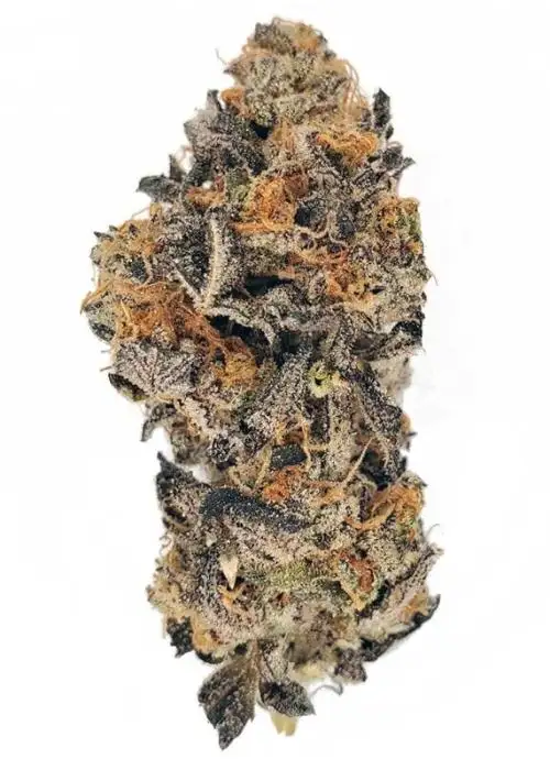 RoadKill Skunk Cannabis Strain Products - GrowDiaries