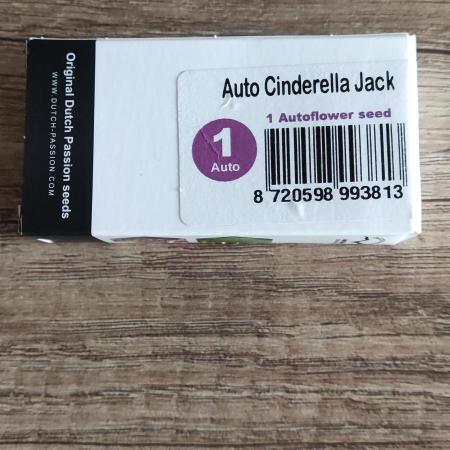 Auto Cinderella Jack grow journal by SkunkyDog420 - GrowDiaries