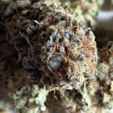 Diesel Glue KAN grow journal by XII_XII_MrGreen - GrowDiaries