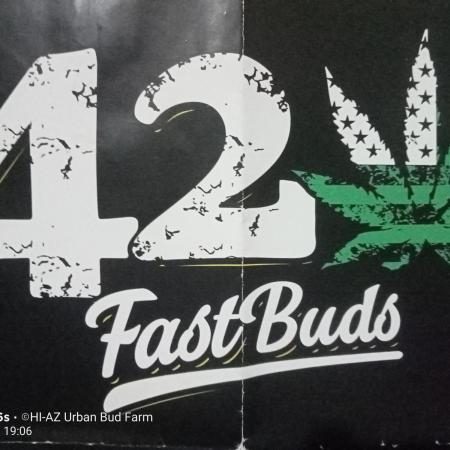 #11 PURPLE LEMONADE FF FASTBUDS grow journal by HIAZ_urb...
